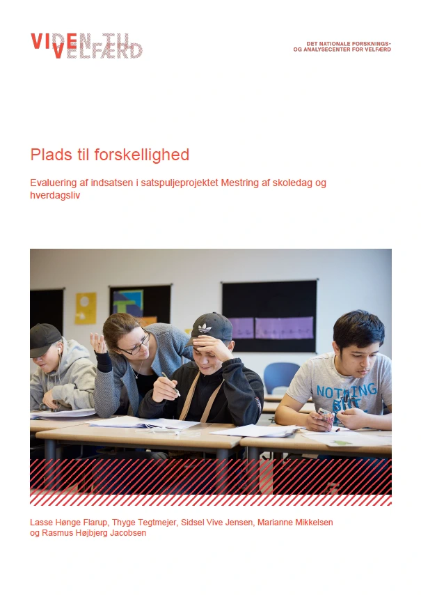 Plads til forskellighed - Evaluering af indsatsen i satspuljeprojektet ...